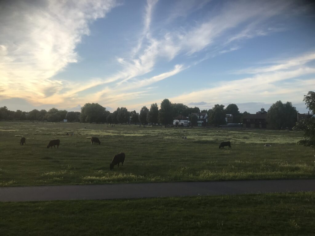 Midsummer Common – Cambridge, UK
